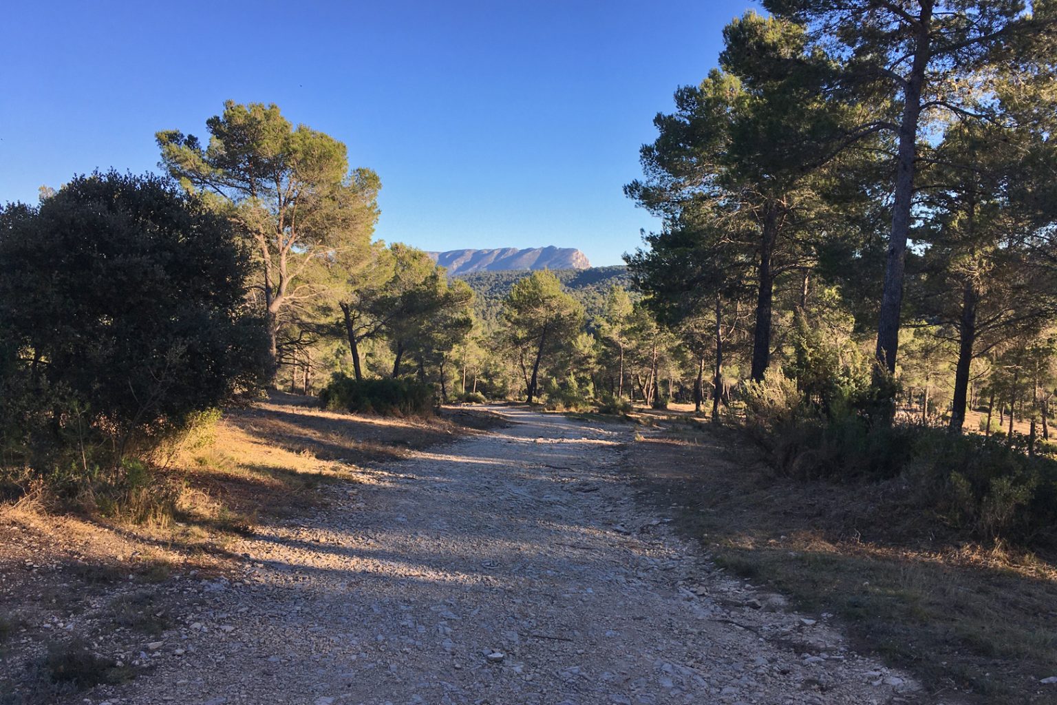 Venelles - Boucle Collet blanc - Grand Site Concors Sainte-Victoire